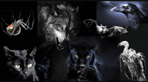 Pick An Animal To Know Your Dark Side - betterifyouknow