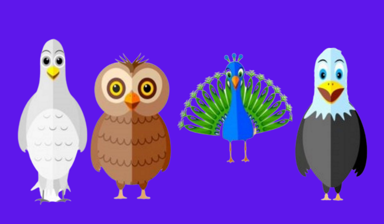 Pick a Bird! It Will Tell You Something Shocking About Your Personality ...