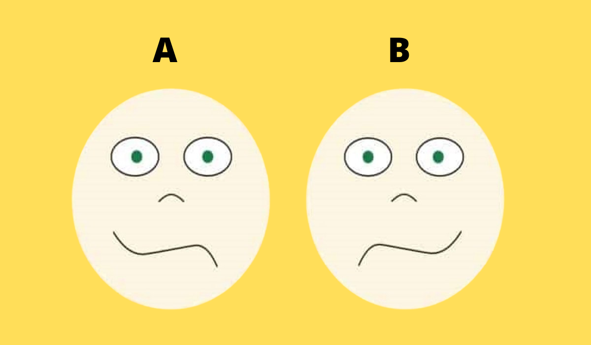 Which of Your Brain Part Dominates Your Personality? - betterifyouknow
